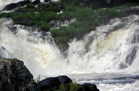 Visit Cameroon – All of Africa in One Country